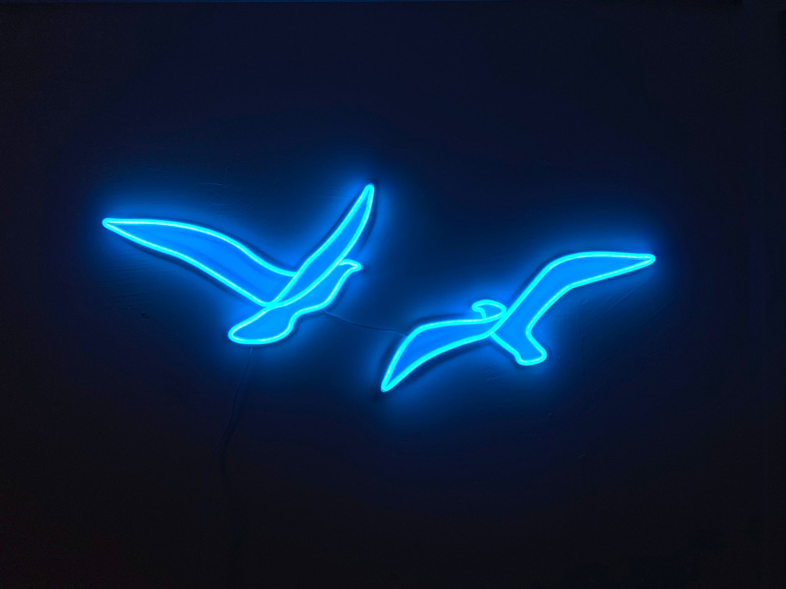 Couple Flying Bird Neon Sign Led Couple Bird Art Light Sign | Etsy