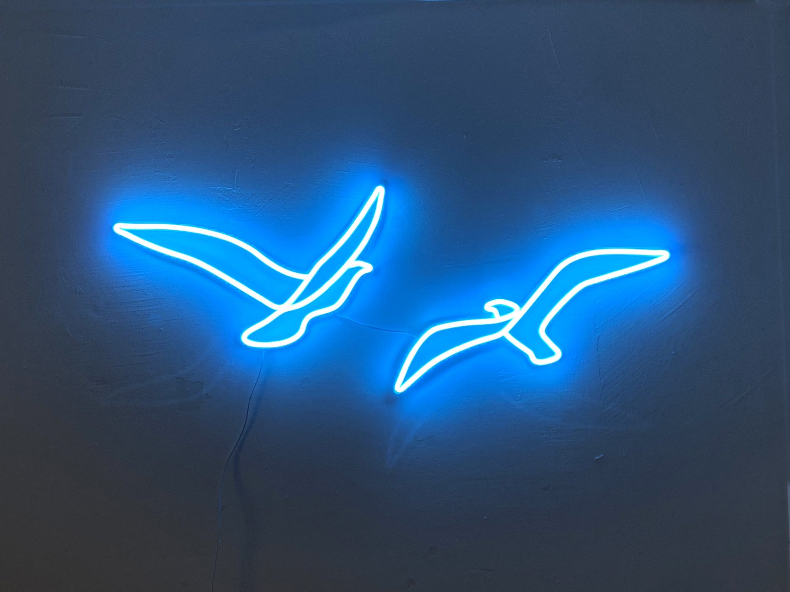Couple Flying Bird Neon Sign Led Couple Bird Art Light Sign | Etsy