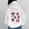 Alpha Chi Omega Oversized Hoodie Sweatshirt, AXO Hooded Fleece, Custom ...