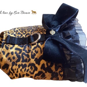 SMALL DOG HARNESS Cat Puppy Leopard Print Black Velvet Bow Pretty Black ...