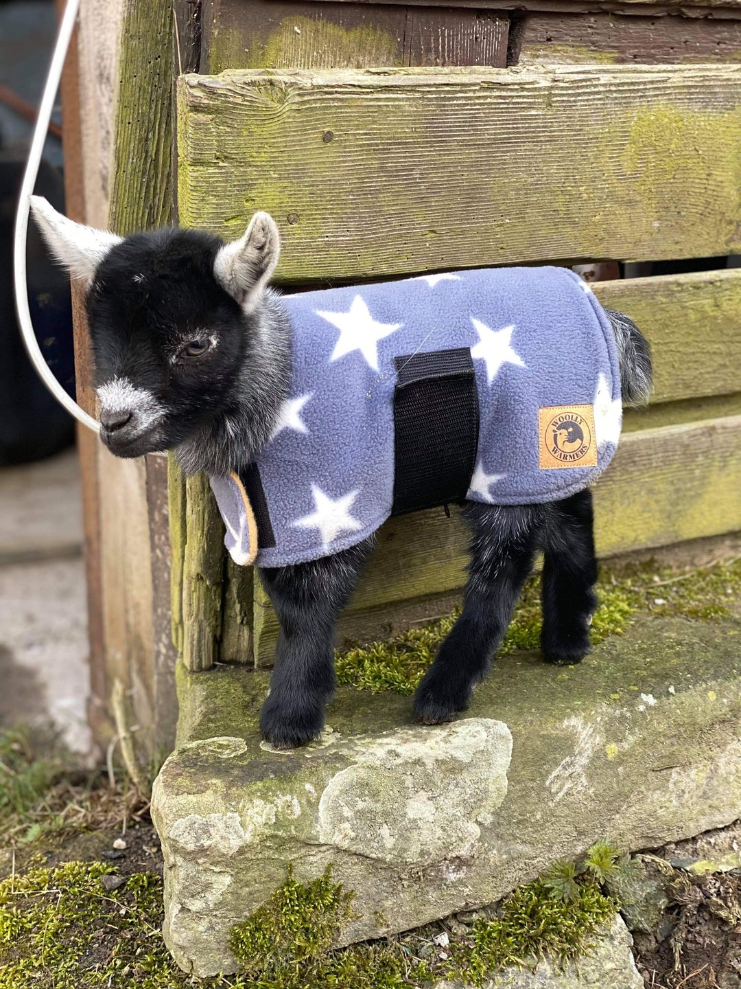 LAMB GOAT DOG Coats Jackets Fleeces Quality Double Fleece or Waterproof ...