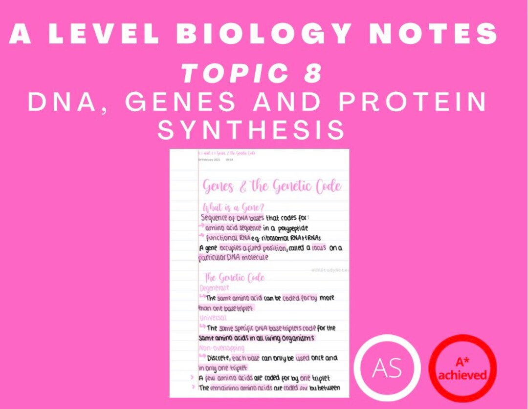 A Level Biology Notes: DNA, Genes and Protein Synthesis - Etsy