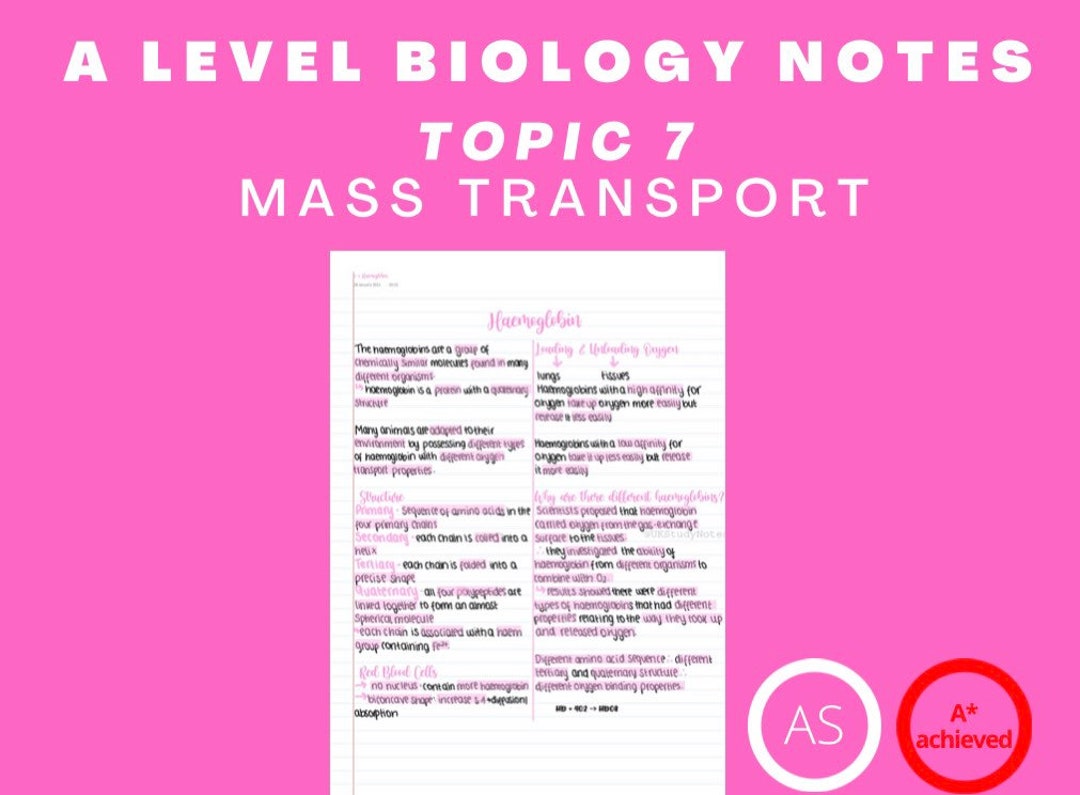 A Level Biology Notes: Mass Transport in Animals and Plants - Etsy