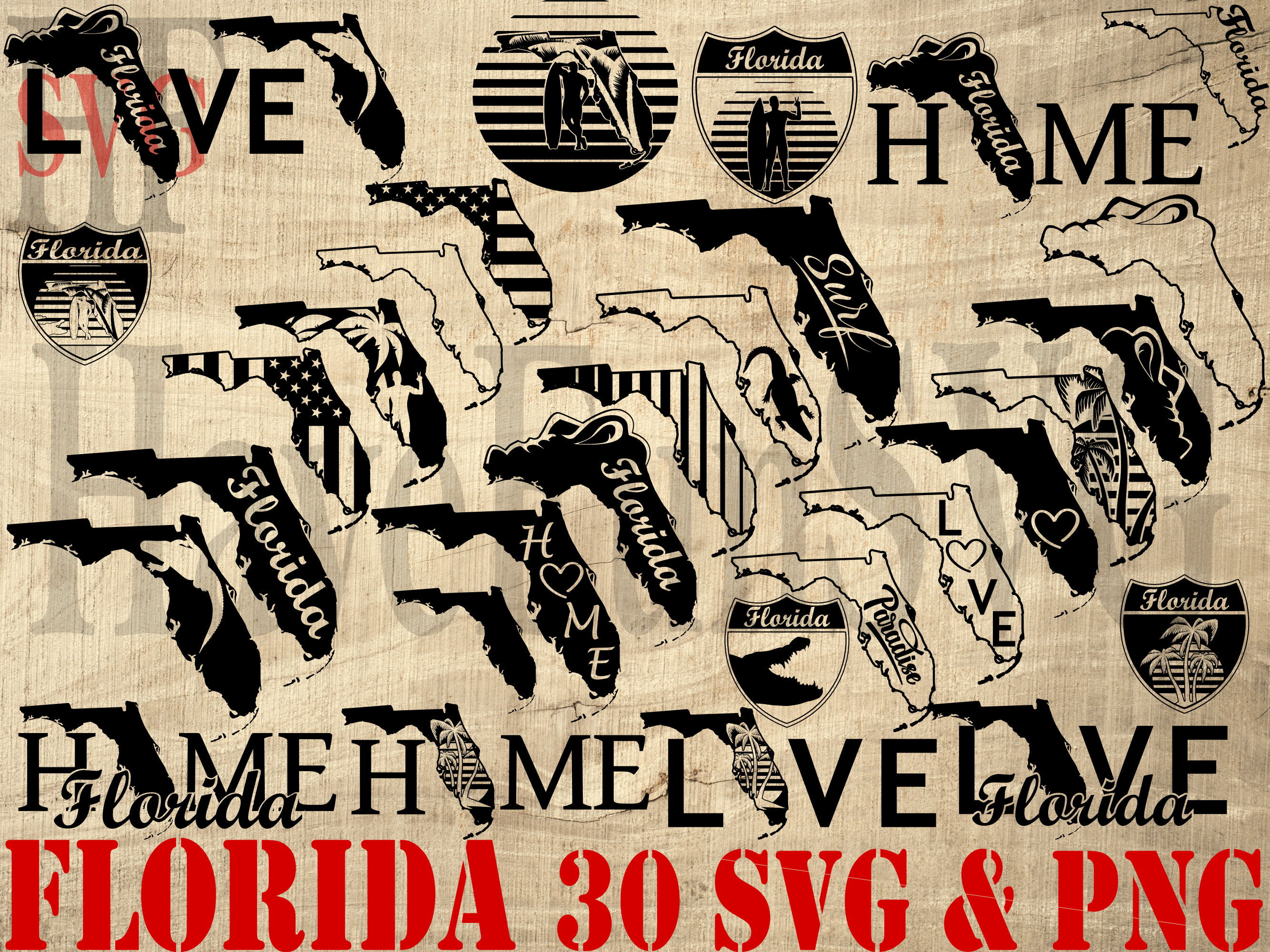 Florida State SVG PNG Files Bundle: 30 Shirt Clipart Designs (digital ...
