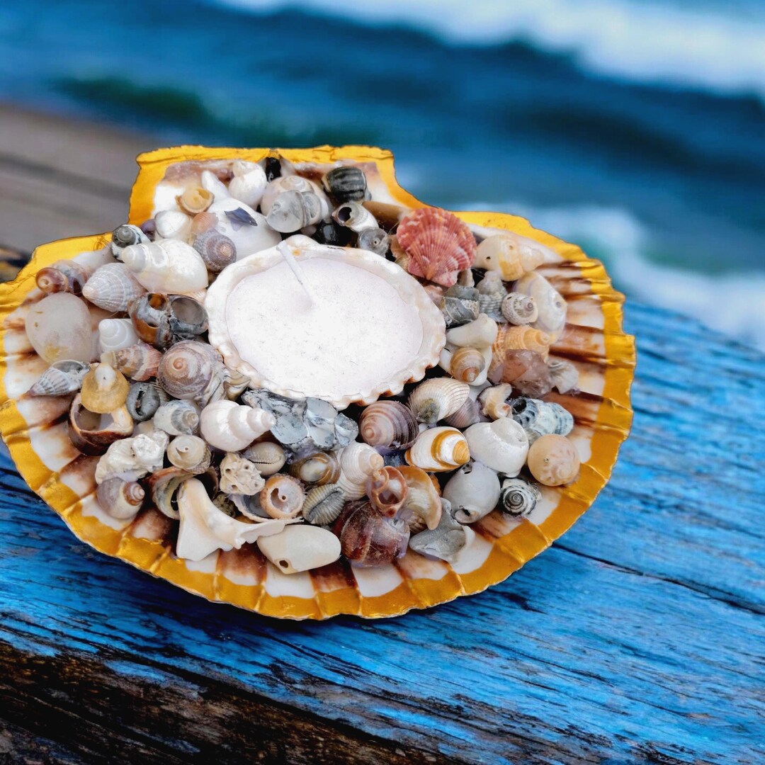Irish Scallop Shell Tea Light Holder, Handmade Vanilla Scented Nautical ...