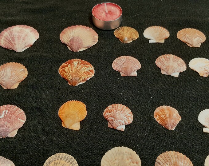 IrishSeaShellCrafts - Etsy Ireland