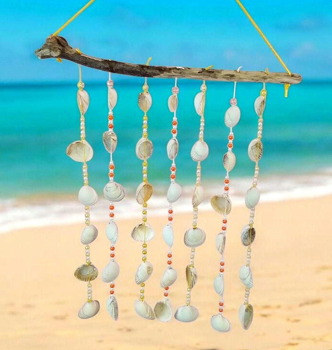 Irish Cockle Shell Wind Chime With Sea-worn Driftwood. Garden ...