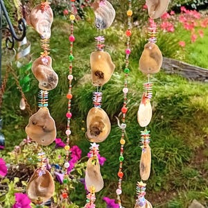 Irish Oyster Shell Wind Chime With Sea Worn Drift Wood. Beach & Home ...