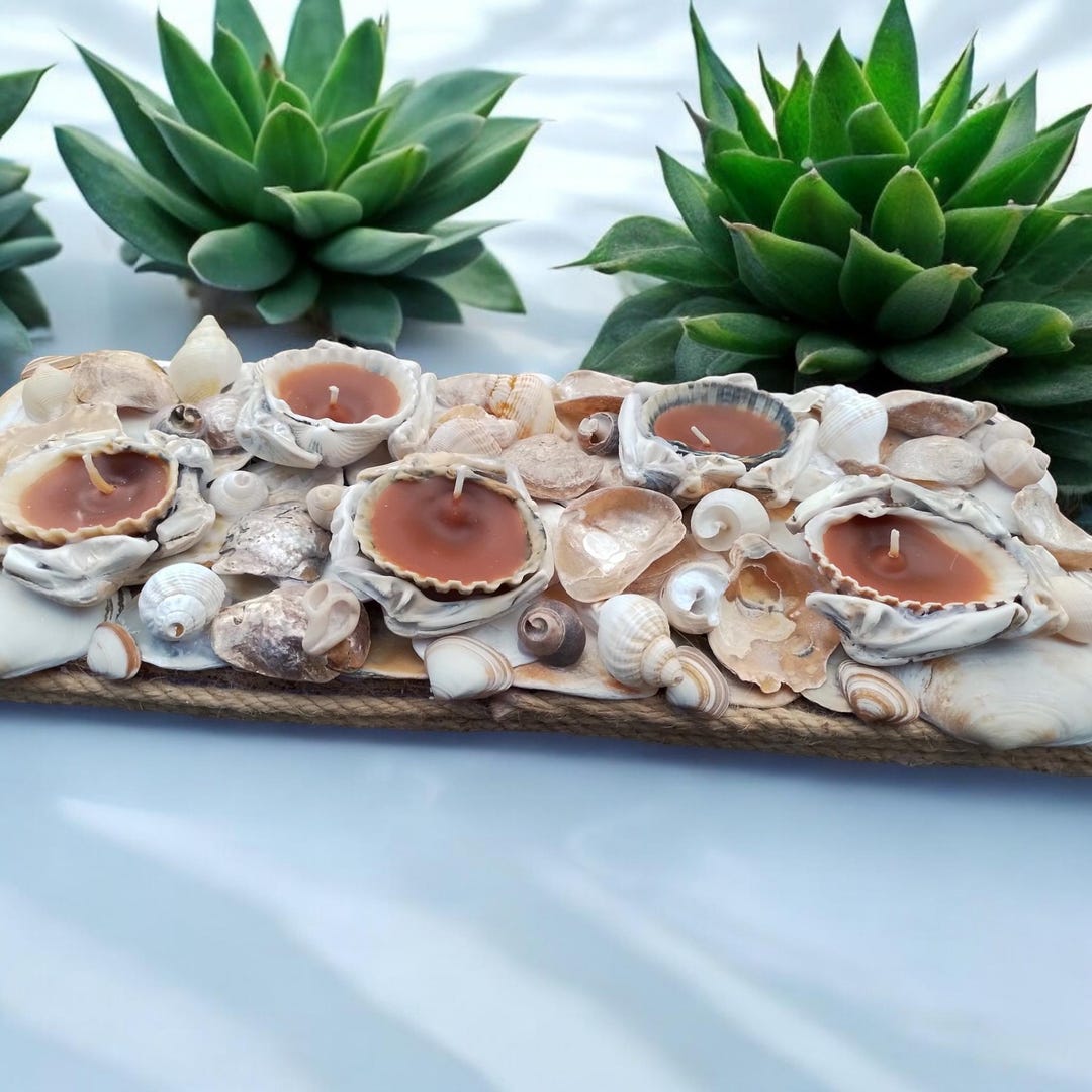 Irish Sea Shell Table Centrepiece With Unscented Brown Cockle Shell ...