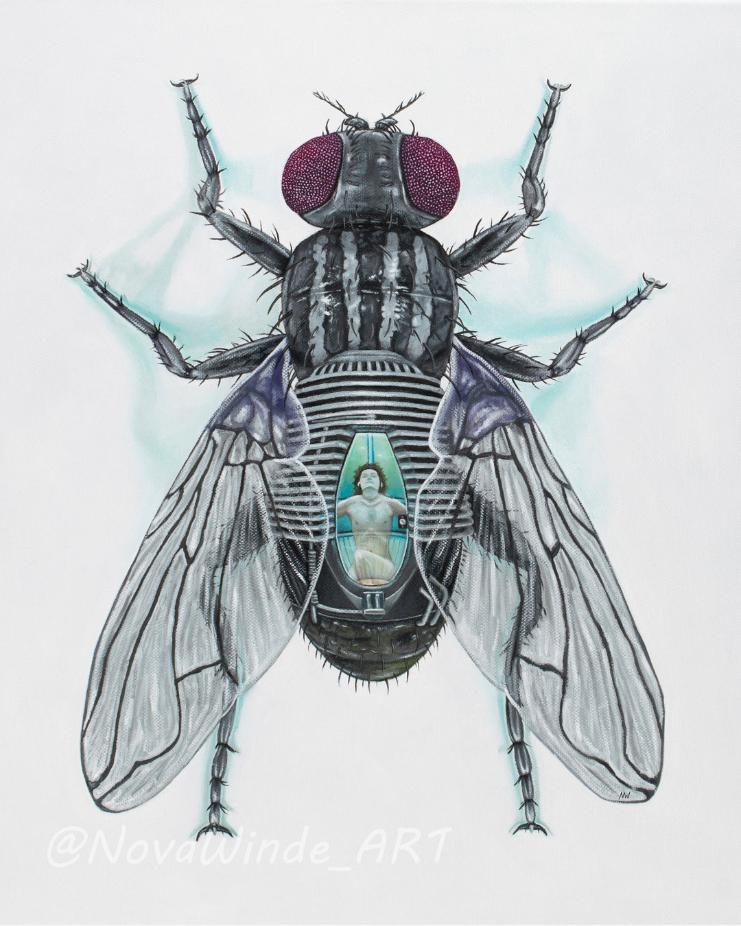 The Fly Teleportation Pod Oil Painting Print - Etsy