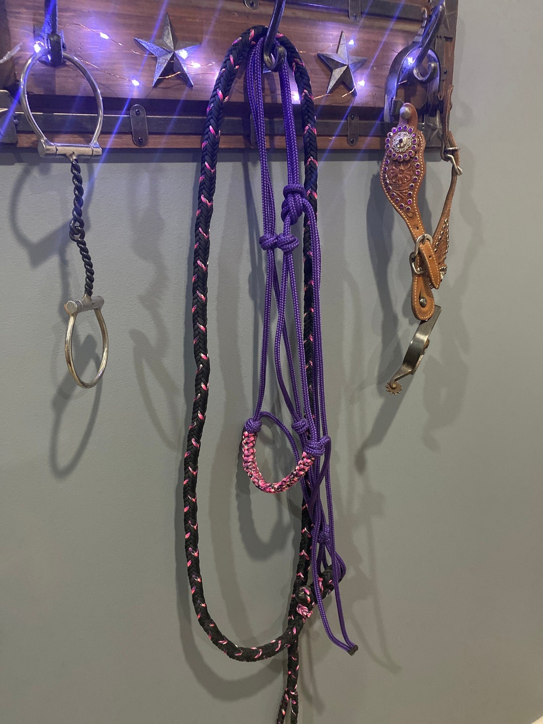 Purple Halter With Braided Nose Band and Lead Rope - Etsy