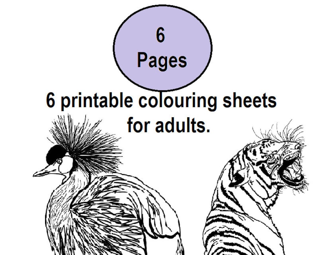 Colouring Sheets Printable Colouring Book Pages 6 Downloadable Files ...