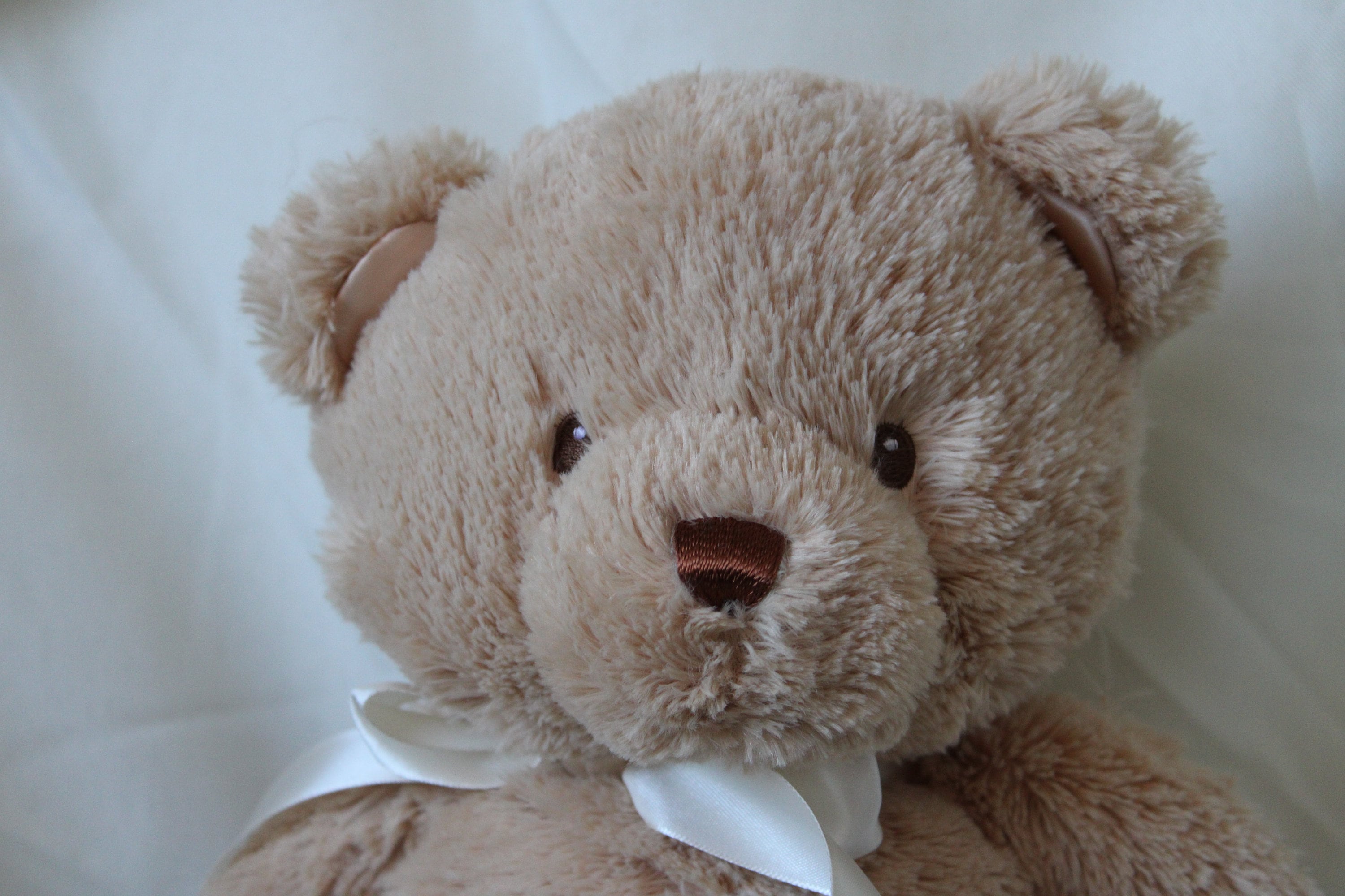 Personalized My First Tebby Bear - Etsy