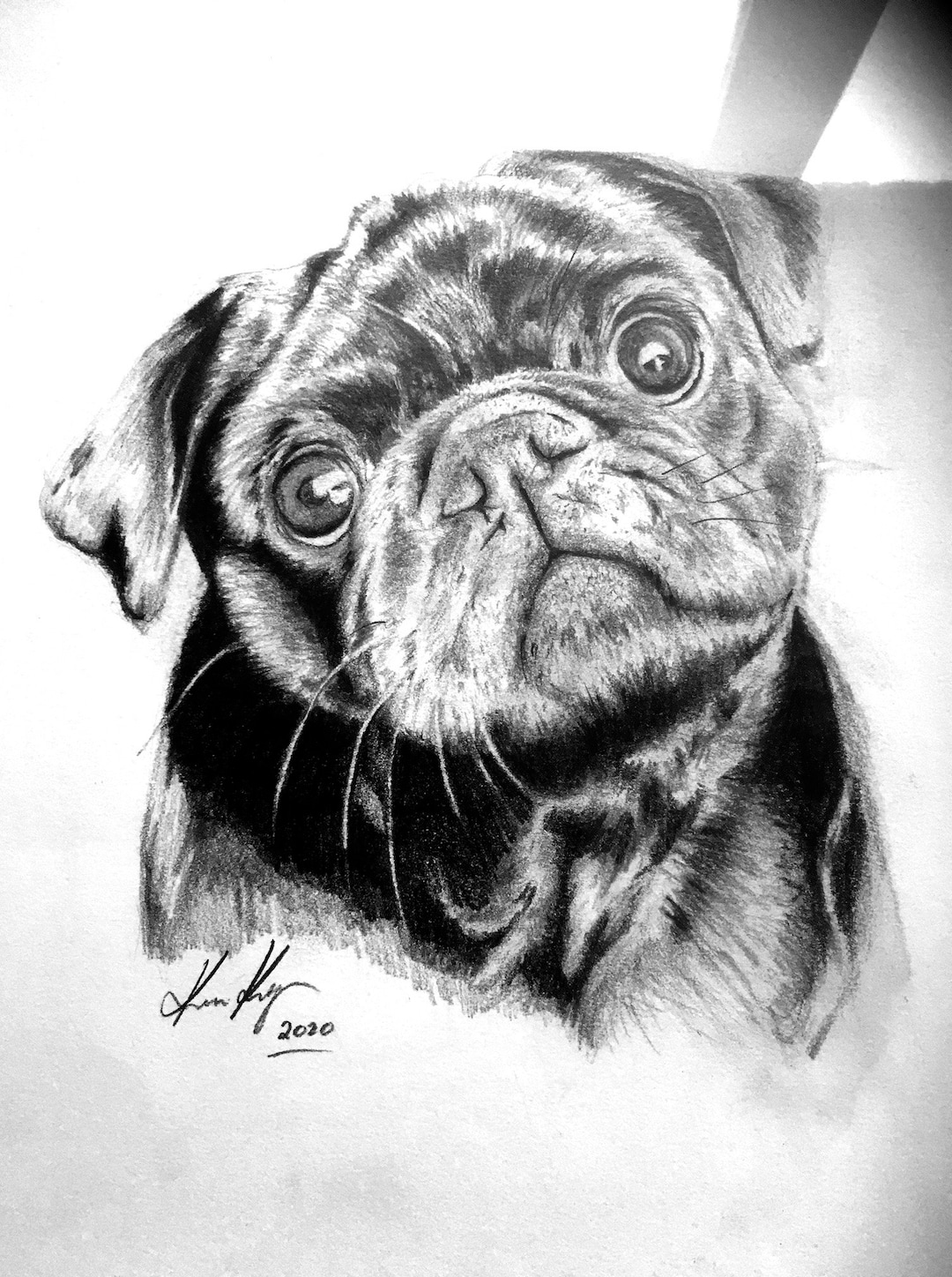 Pug Pencil Drawing in Frame - Etsy