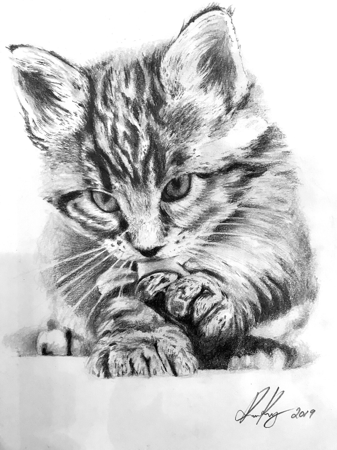 Cat Pencil Drawing in Frame - Etsy