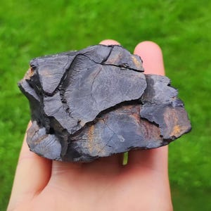 Large Rough Lignite, Raw Fossil Jet Tree Trunk, Lignite Stone Specimen ...