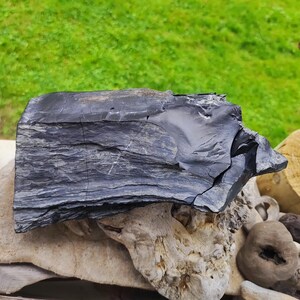 Large Rough Jet Stone Specimen for Collection, Rare Jet Trunk Chunk ...