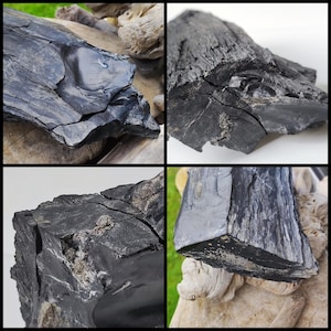 Large Rough Jet Stone Specimen for Collection, Rare Jet Trunk Chunk ...