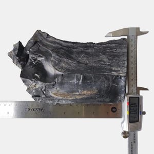 Large Rough Jet Stone Specimen for Collection, Rare Jet Trunk Chunk ...