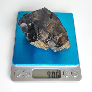 Large Rough Lignite, Raw Fossil Jet Tree Trunk, Lignite Stone Specimen ...