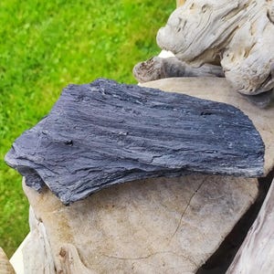 Large Rough Jet Stone Specimen for Collection, Rare Jet Trunk Chunk ...