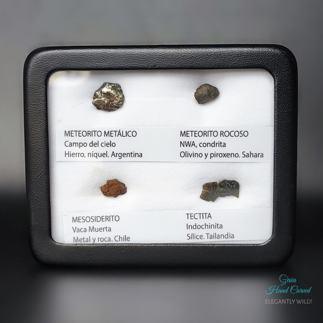 Meteorites Collection, Campo Del Cielo Iron Meteorite Lot, NWA ...