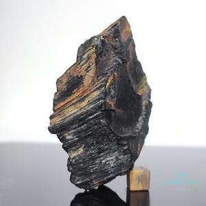 Large Rough Lignite, Raw Fossil Jet Tree Trunk, Lignite Stone Specimen ...