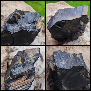 Large Rough Lignite, Raw Fossil Jet Tree Trunk, Lignite Stone Specimen ...