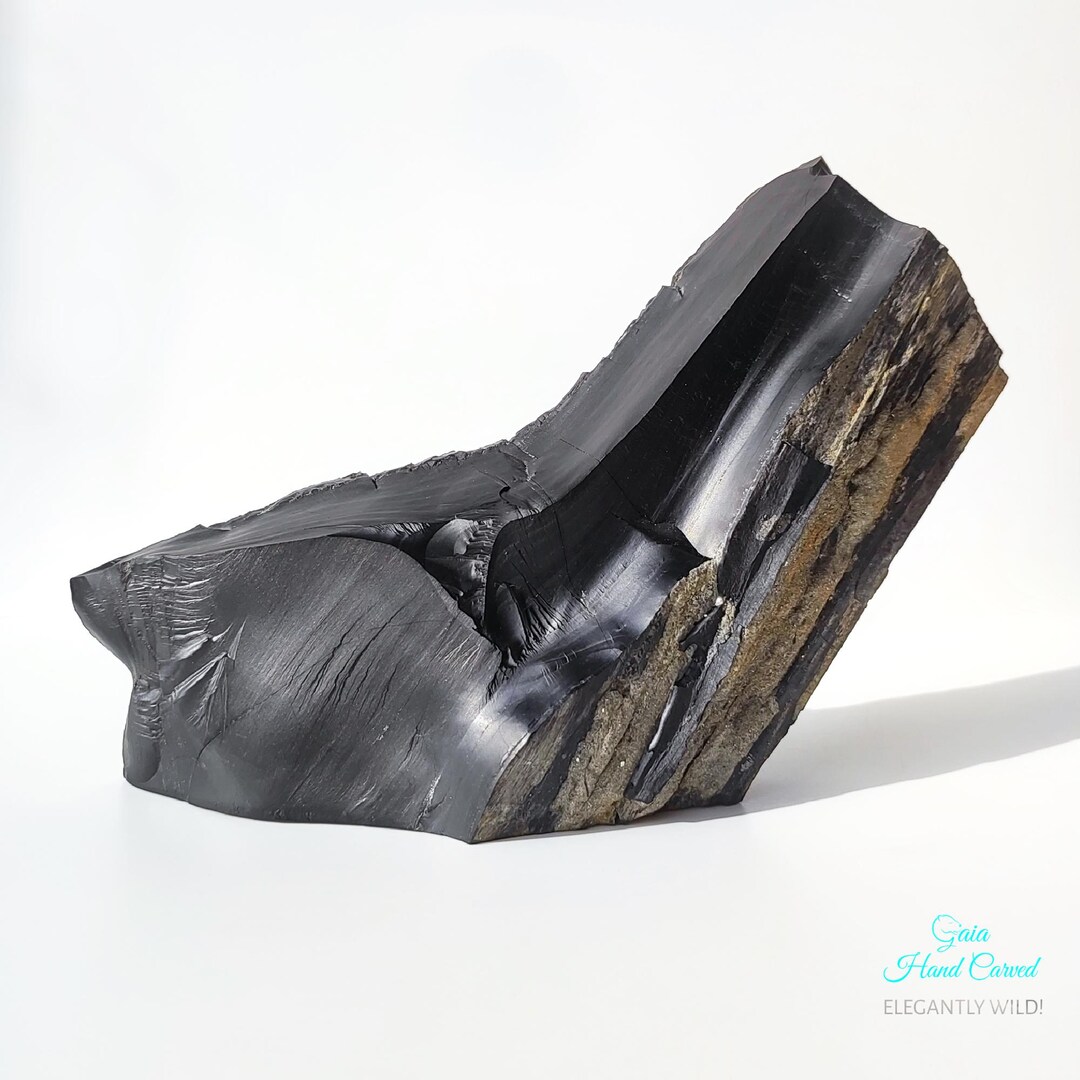 Lignite, Lignite Tree for Collection, Coal Sedimentary Rocks, Natural ...