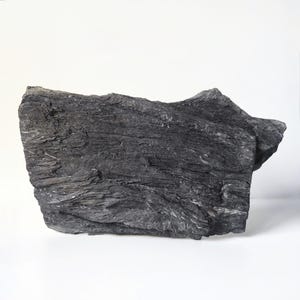 Large Rough Jet Stone Specimen for Collection, Rare Jet Trunk Chunk ...