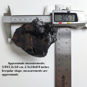 Large Rough Lignite, Raw Fossil Jet Tree Trunk, Lignite Stone Specimen ...