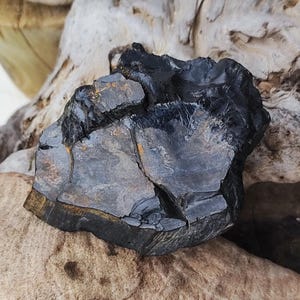 Large Rough Lignite, Raw Fossil Jet Tree Trunk, Lignite Stone Specimen ...