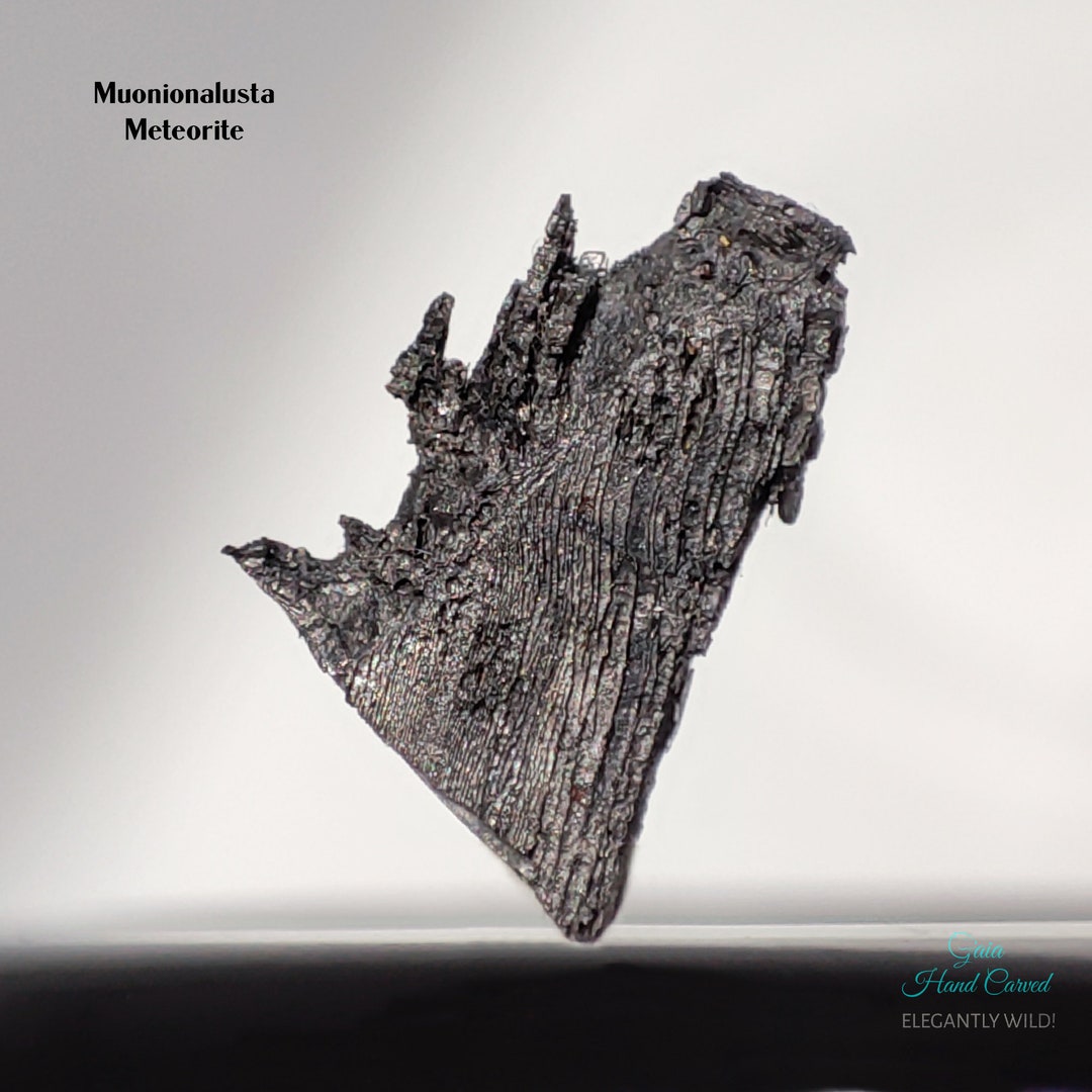 Muonionalusta Meteorite Specimen, Iron Meteorite Slice, Gift for ...