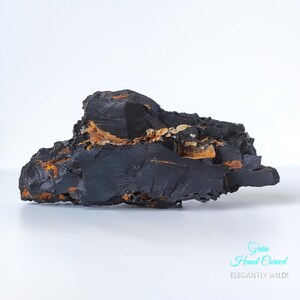 Rough Jet, Large Raw Jet, Rare Specimen of Natural Jet Spain, Healing ...