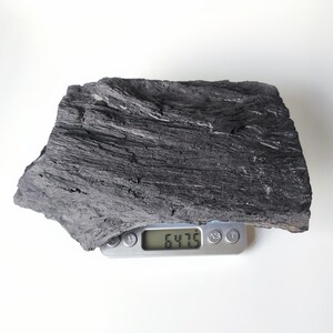 Large Rough Jet Stone Specimen for Collection, Rare Jet Trunk Chunk ...