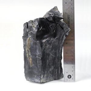 Large Rough Jet Stone Specimen for Collection, Rare Jet Trunk Chunk ...