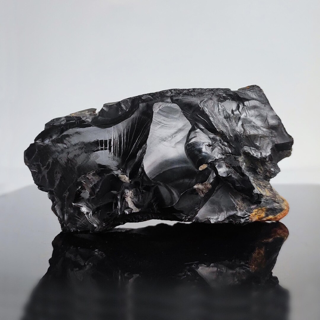 Rough Lignite Fossil, Raw Stone Black Like Jet Chunk, Lignite Tree ...