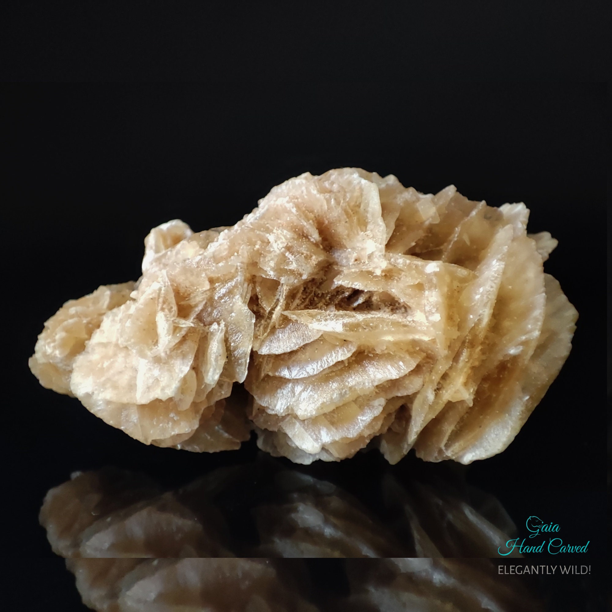 Desert Rose Stone Natural Desert Rose Specimen Rough Gypsum - Etsy