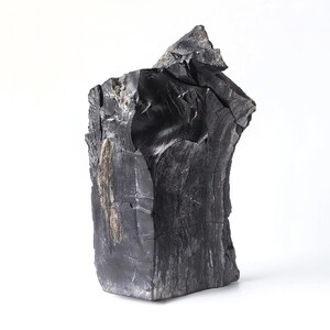 Large Rough Jet Stone Specimen for Collection, Rare Jet Trunk Chunk ...