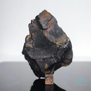 Large Rough Lignite, Raw Fossil Jet Tree Trunk, Lignite Stone Specimen ...