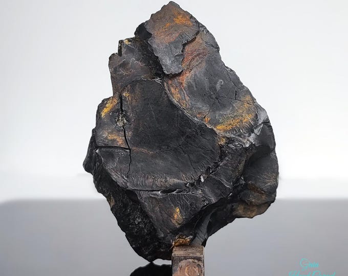 Large Raw Jet, Natural Rough Jet, Raw Lignite, Piece of Fossilised Wood ...
