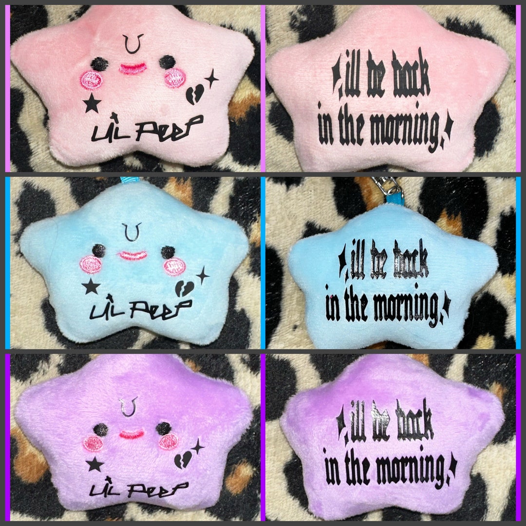 2.5 Lil Peep Tatted Plush Star Shopping Keychains Please Read Full ...