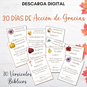 Tarjetas De 30 Días De Gratitud, Acción De Gracias, Gratitud Diaria ...