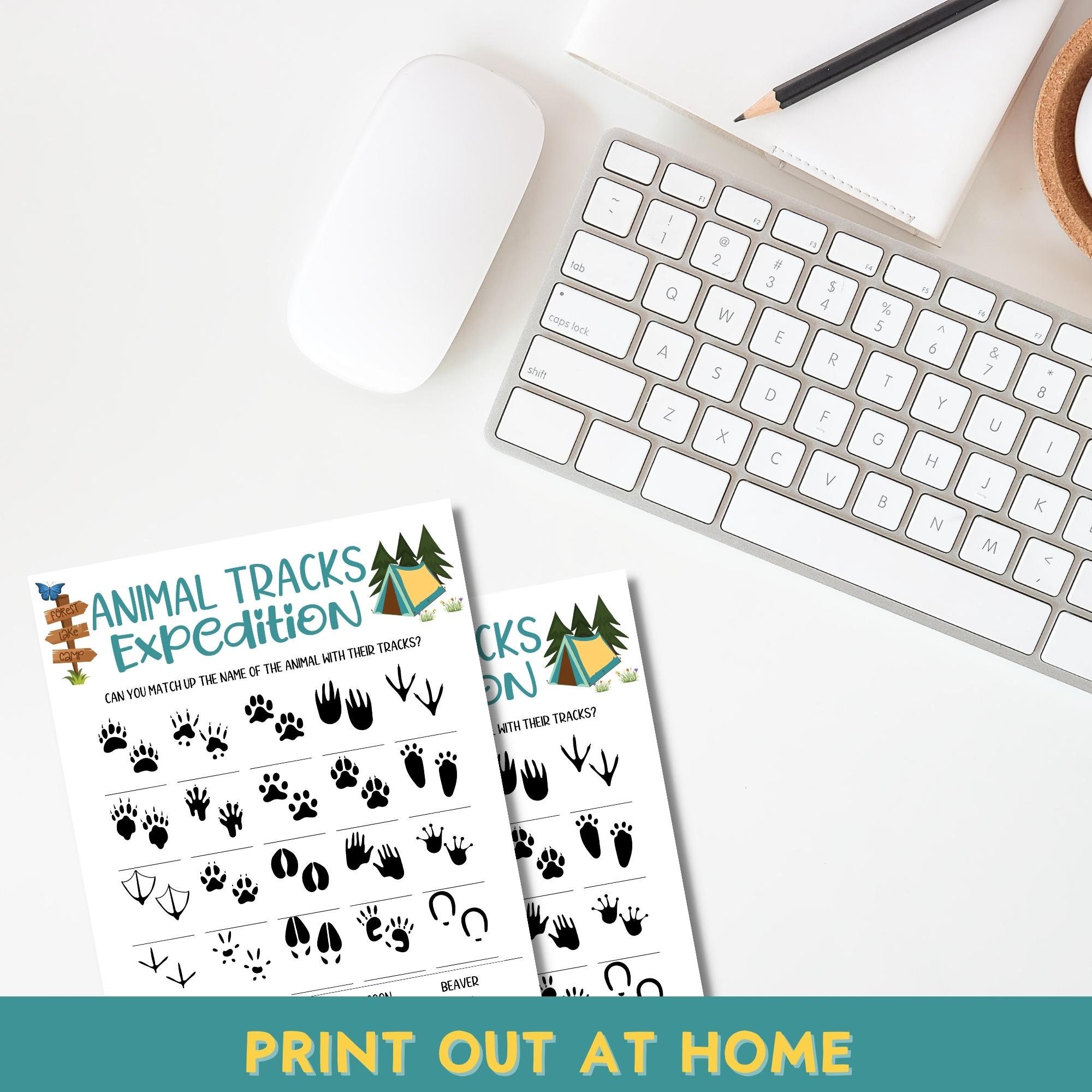 Animal Tracks Expedition Game Printable Camping Trip Game - Etsy