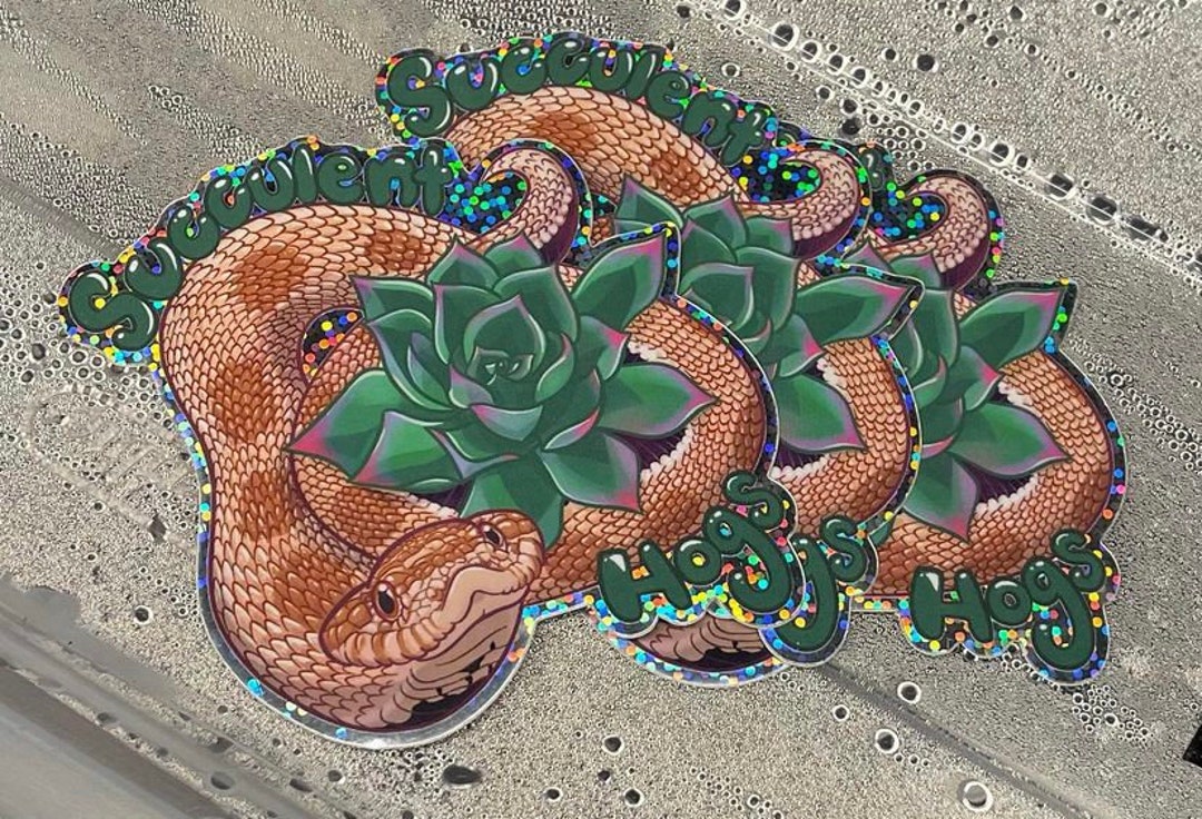 Hognose Stickers - Succulent Hogs - Etsy