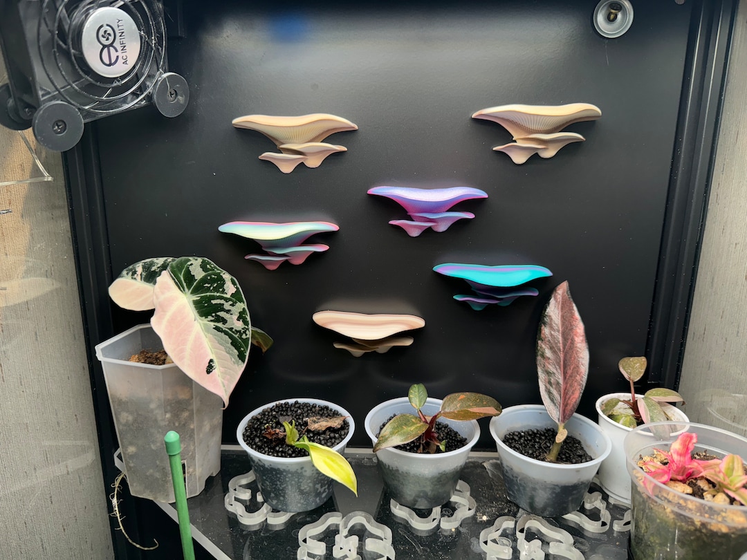 3D Printed Mushroom Decorations for Reptiles, Fish, Shrimp, Spiders ...