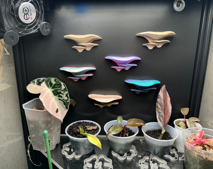 Frog and Gecko Hanging Mushroom Platform - Etsy