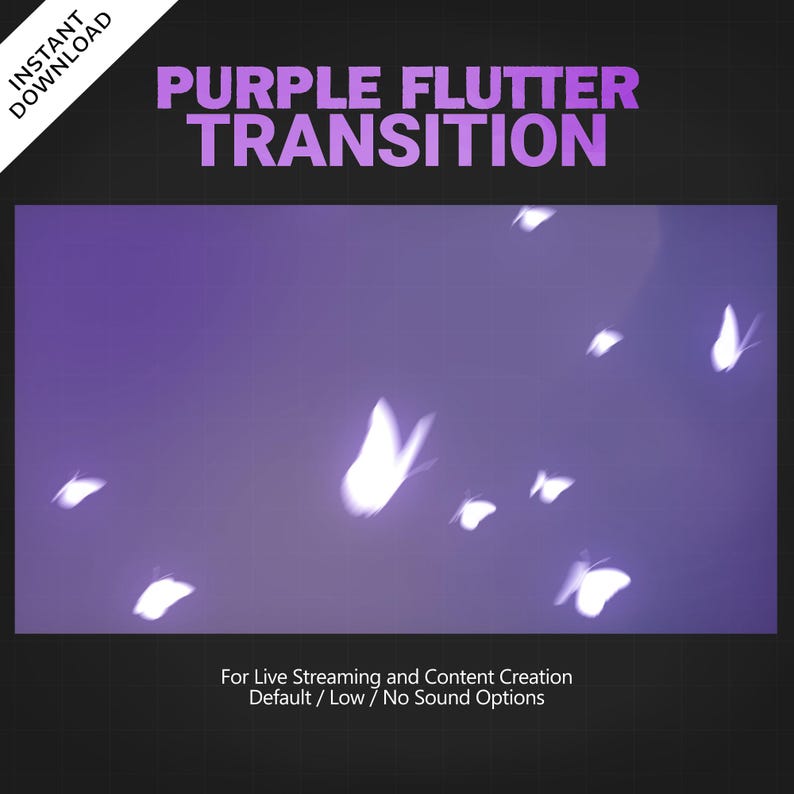 Purple Flutter Stream Transition | Butterfly Transition | Cute Effects | Twitch Stinger | Live ...