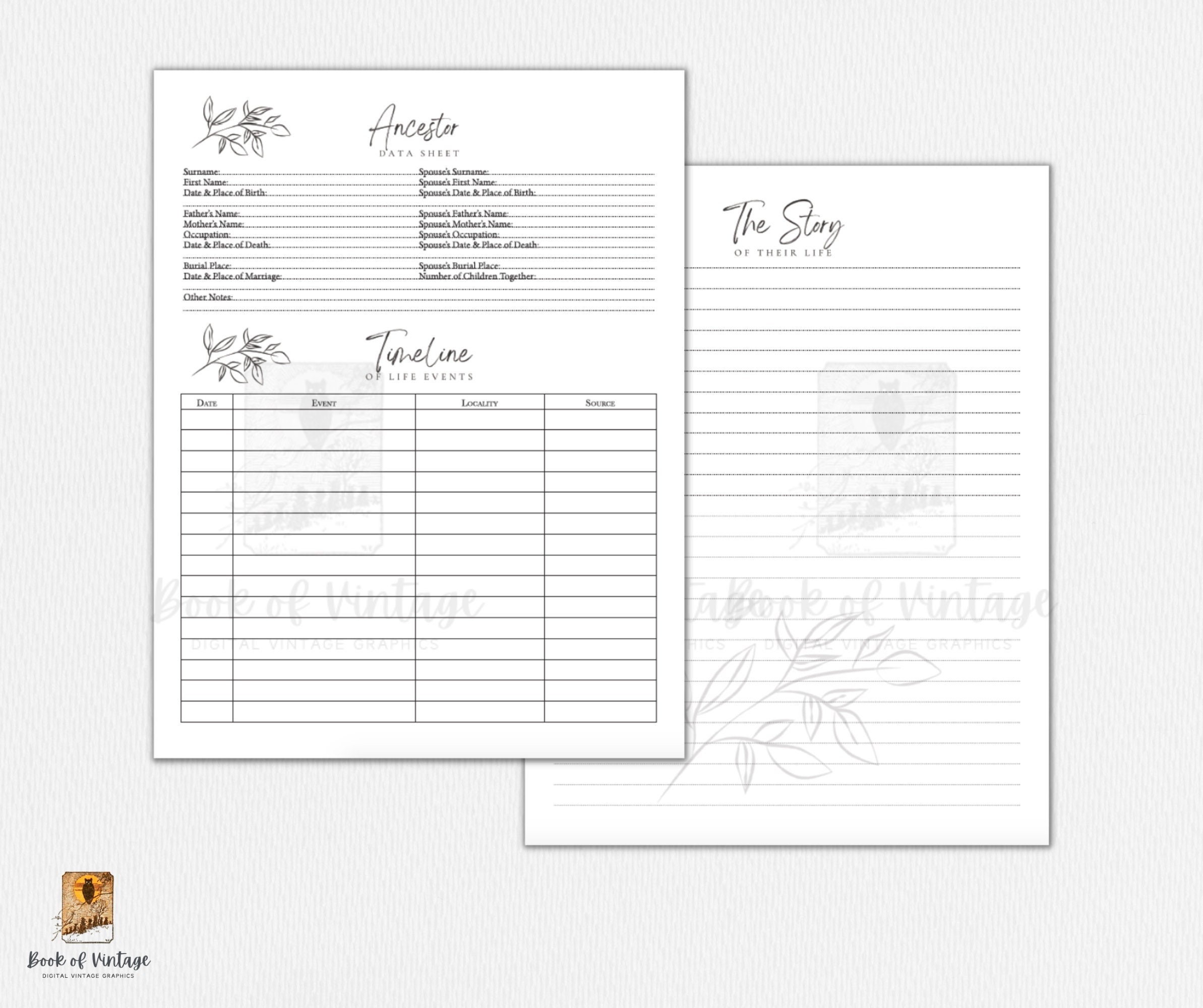 Ancestor Stories Timeline and Story Telling Printable Data Sheet ...
