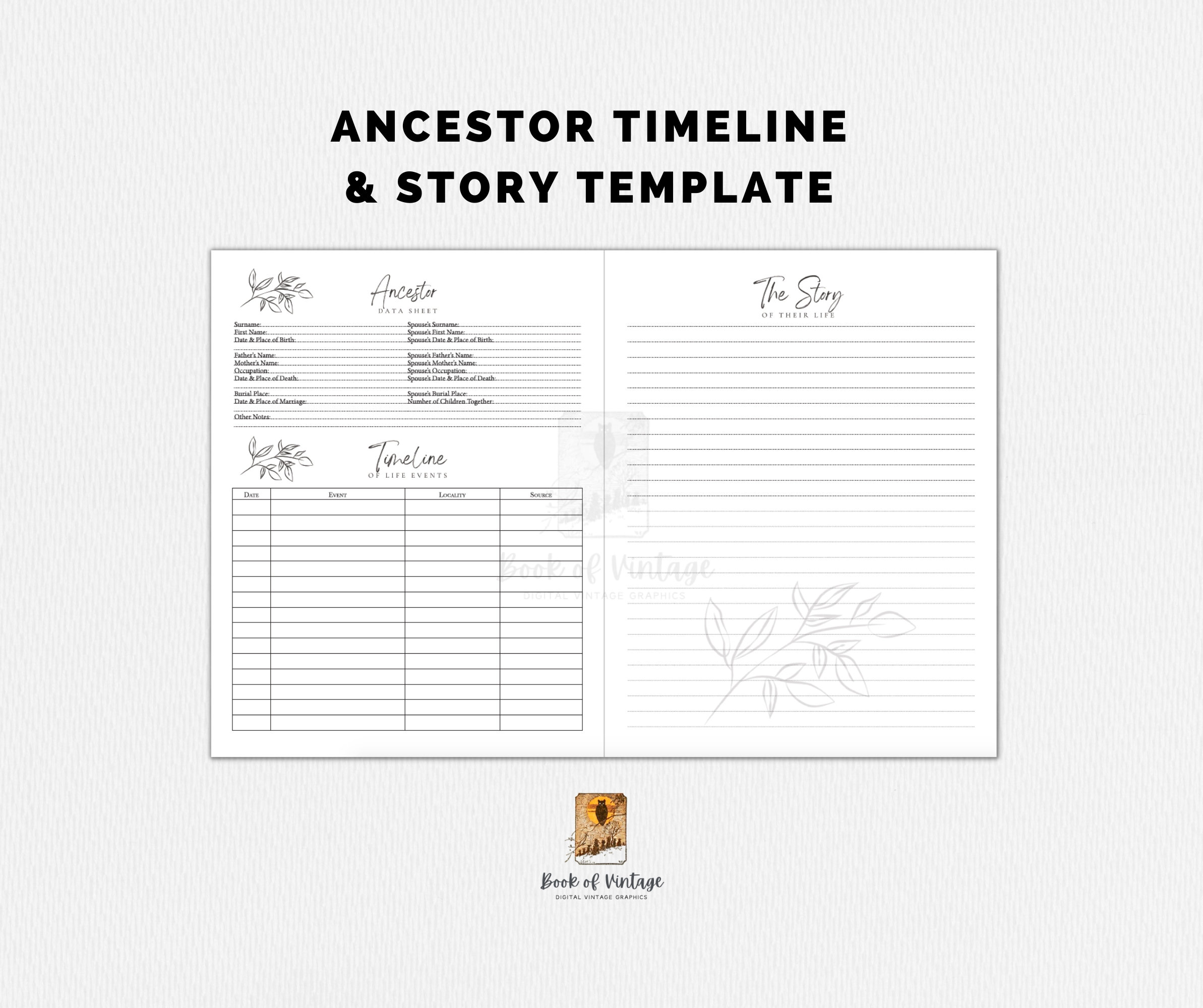 Ancestor Stories Timeline and Story Telling Printable Data Sheet ...